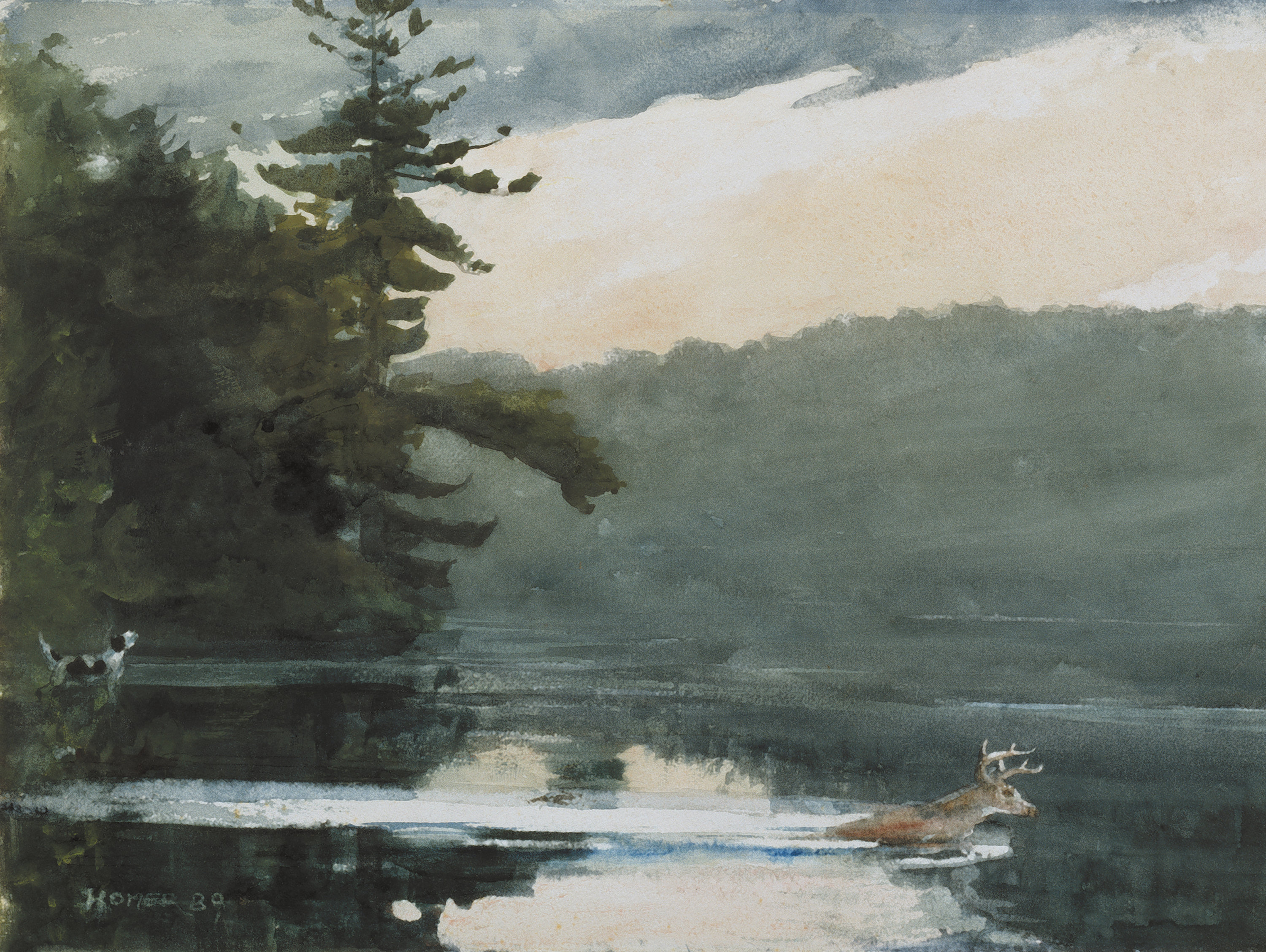 Millwood Pines Zeidler Deer In The Adirondack On Canvas by Stellar Design Studio Print | Wayfair